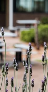 GEO Healthcare - The GEO Group Australia Pty Ltd.