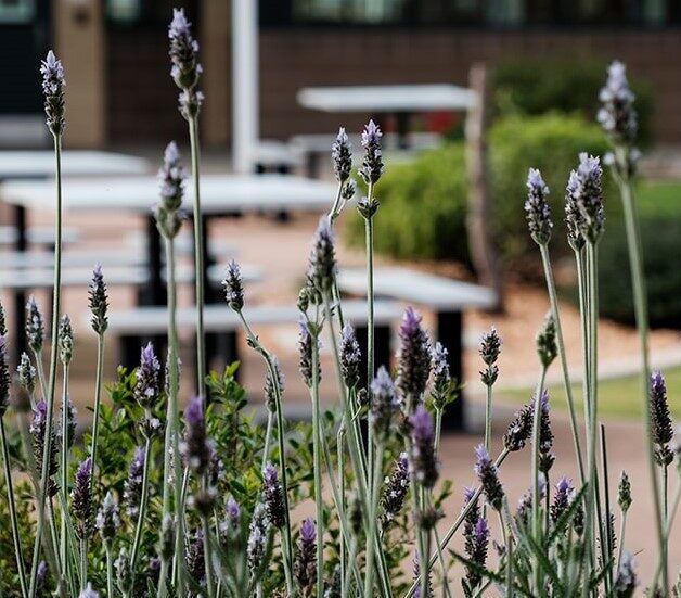 GEO Healthcare - The GEO Group Australia Pty Ltd.